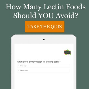 Do Potatoes Have Lectins? - Lectin Foods Base