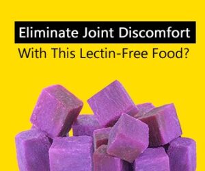 Is Rice High Or Low In Lectins? - Lectins In Rice