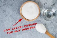 Low Lectin Nuts - Lectin Foods Base